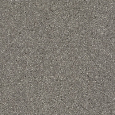 Solidify I 15 Net Residential Carpet | Standard Paint & Flooring